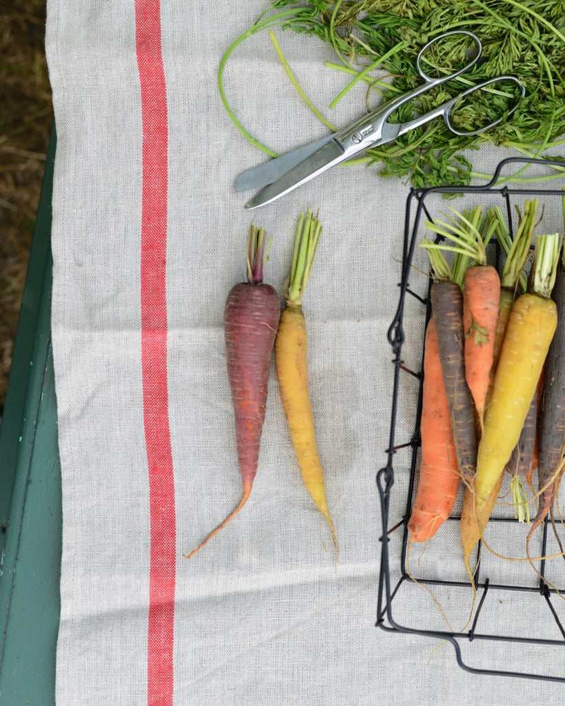Thick Linen Kitchen Cloth: Natural with Red Stripe – Shop Fog Linen